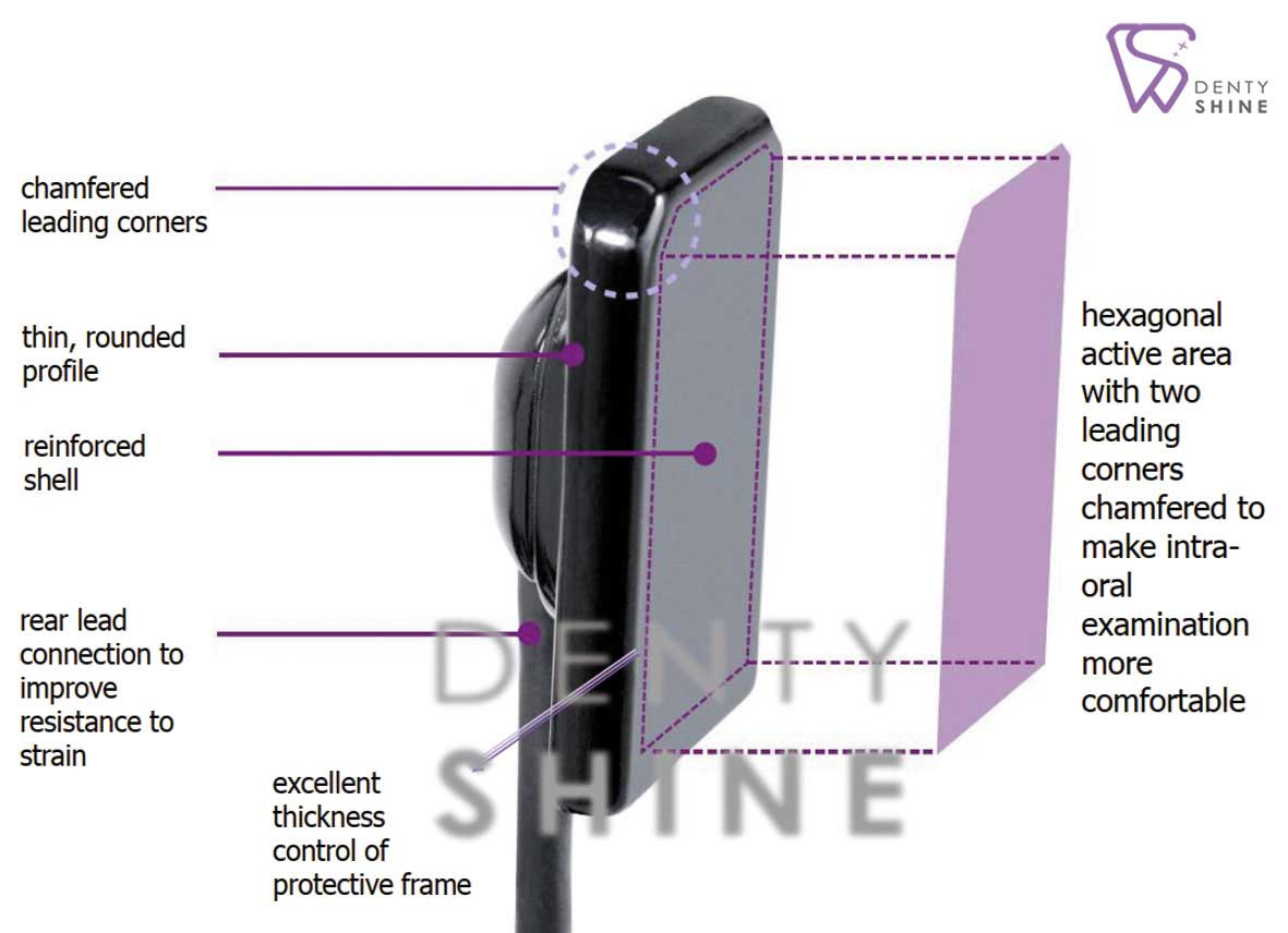 سنسور آر وی جی RVG مای ری Myray مدل ZEN.X سایز 2 - دنتی شاین